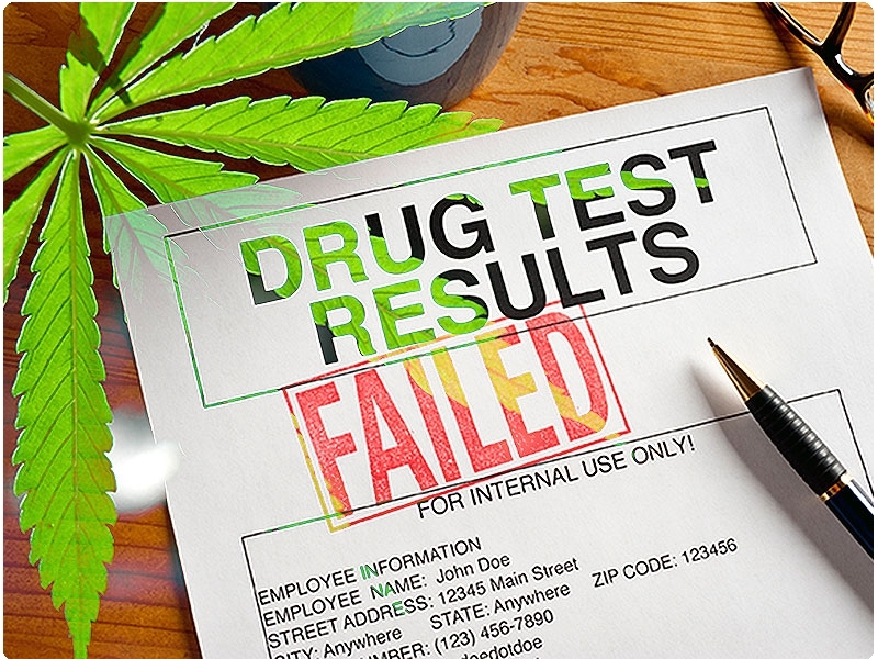 Prop. 205 could cause the Arizona Unemployment Rate to SKYROCKET ...